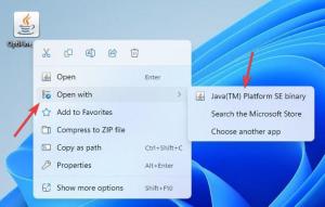 Windows 10 & 11 で JAR ファイルを開く方法 - Gamingdeputy Japan